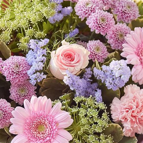 Vandella Flowers - Carlisle Order Online or 01228 536096