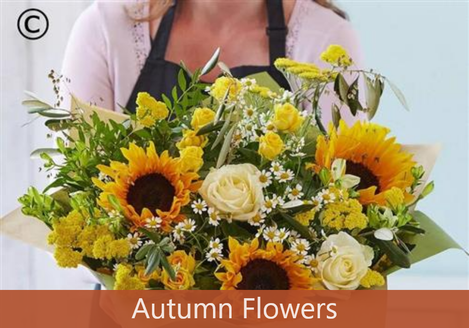 Vandella Flowers - Carlisle Order Online or 01228 536096