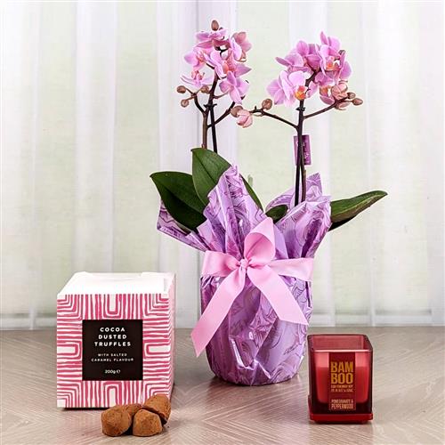 Orchid Gift Set