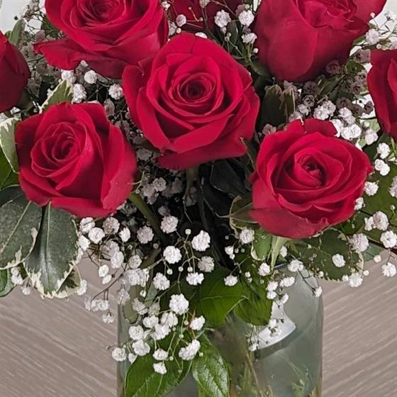 12 Red Rose Hand Tied